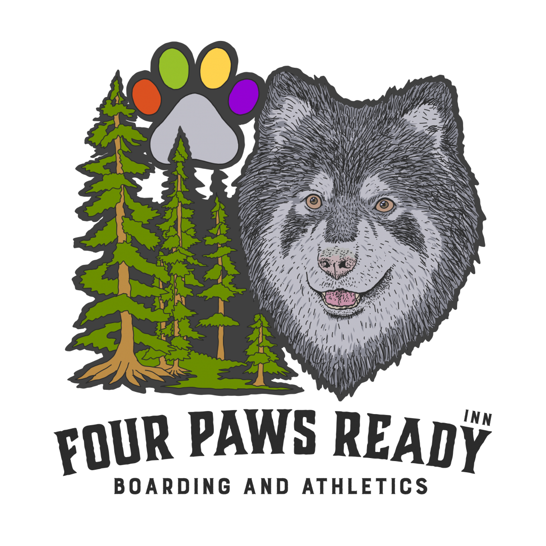 AAC Agility - Four Paws Ready Inn